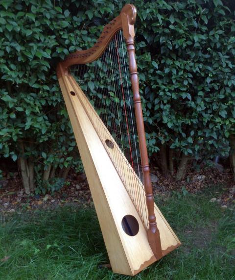 Pascal Coulon | La Harpe | La Harpe « llanera